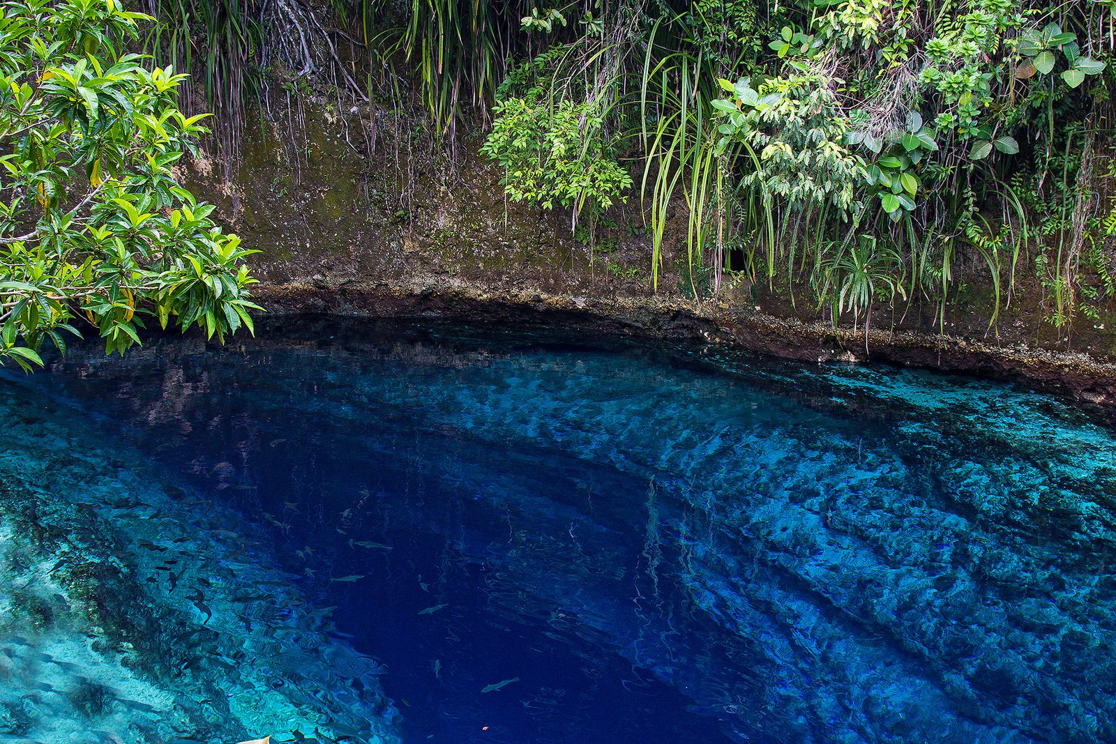 Conheça o incrível e exótico Rio Encantado nas Filipinas