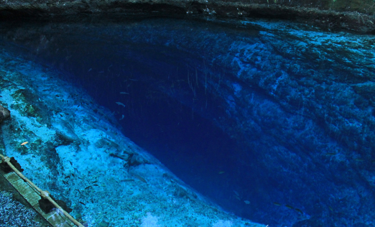 Conheça o incrível e exótico Rio Encantado nas Filipinas
