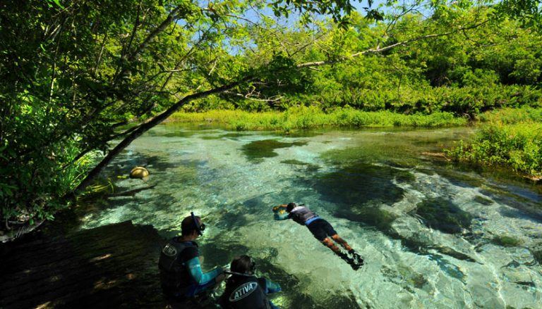 18 fotos que vão fazer você se apaixonar por Bonito