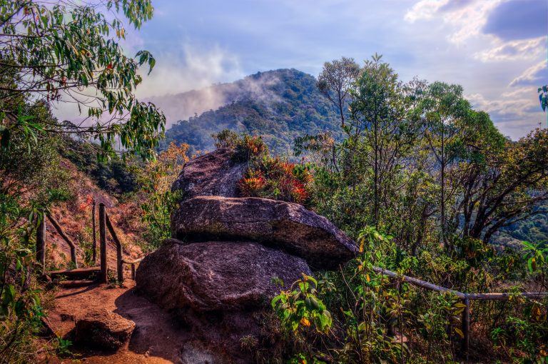 Dicas de turismo em Monte Verde