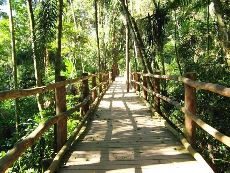 30 trilhas para fazer no Estado de São Paulo