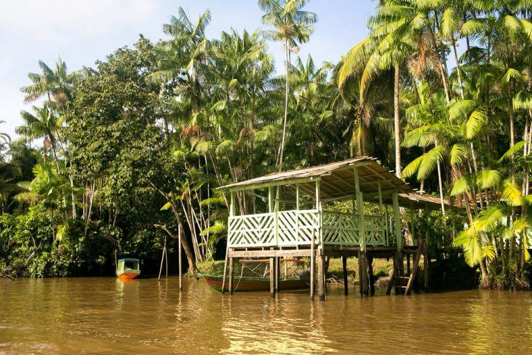 Roteiro de 2 dias em Belém e Ilha do Combu, no Pará
