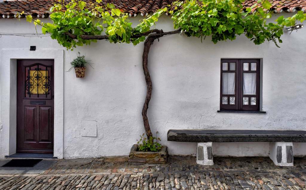 Alentejo na primavera: conheça a região rural de Portugal