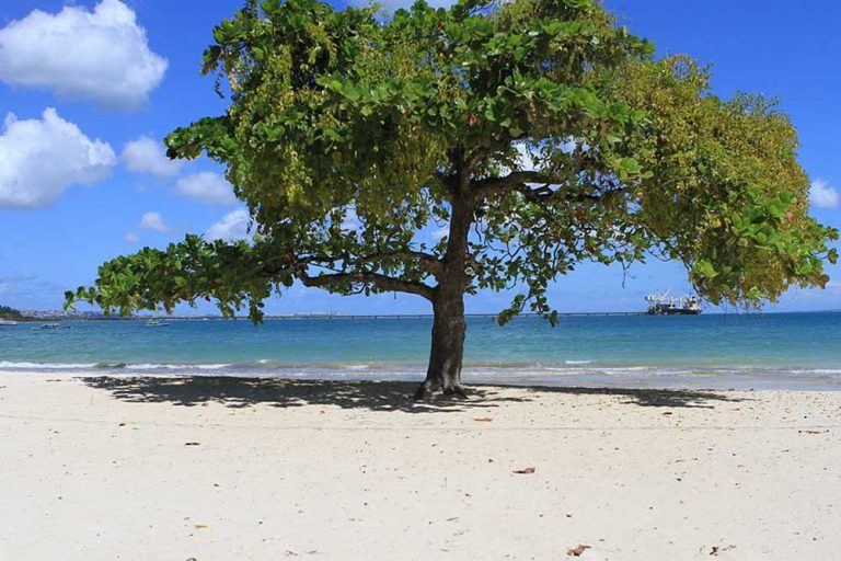 Bahia: veja 9 fotos das melhores praias de Salvador e entornos