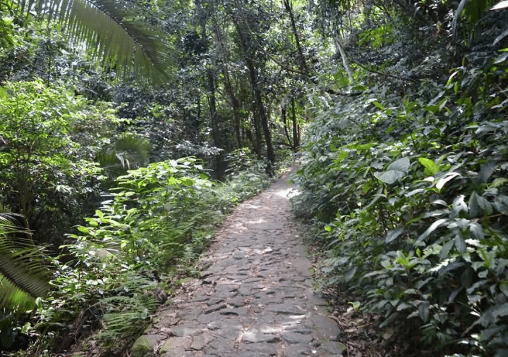 6 trilhas imperdíveis para fazer no litoral de São Paulo