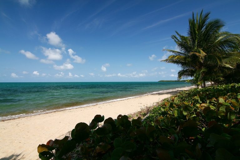 10 atrações imperdíveis para conhecer em Belize