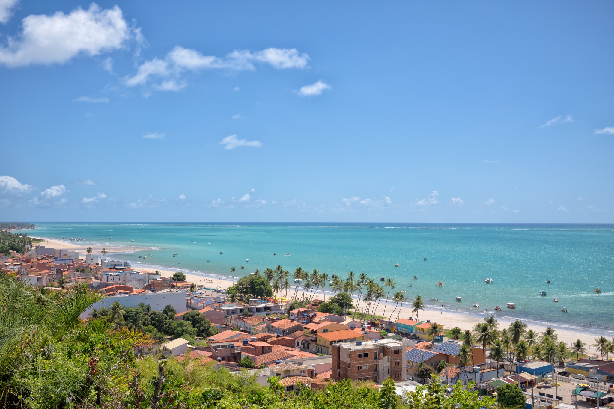 Guia de Maragogi: como chegar, o que fazer, quando ir e outras dicas de ...