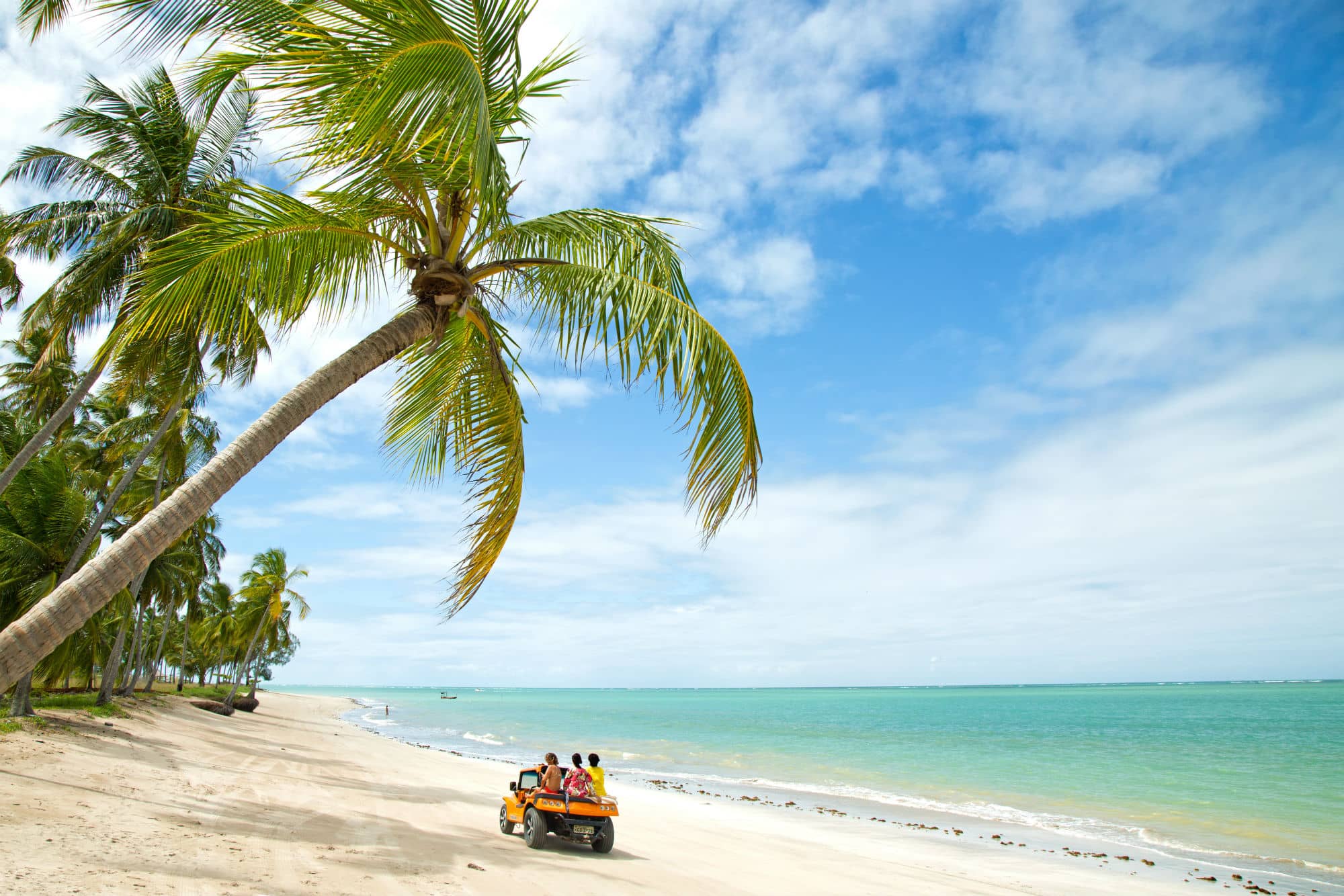 Guia de Maragogi: como chegar, o que fazer, quando ir e outras dicas de ...