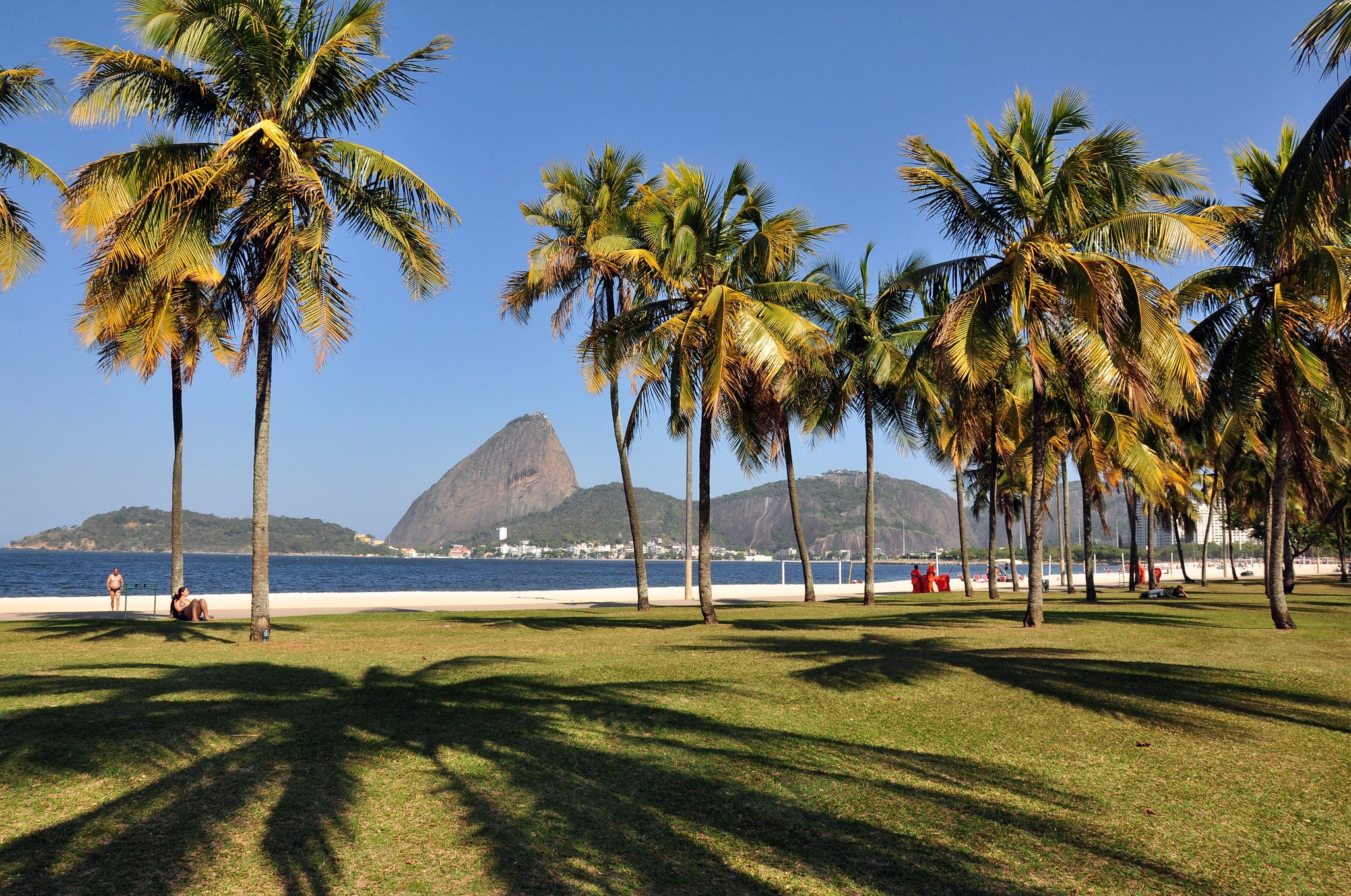Praia do Flamengo bate recorde de balneabilidade e é liberada para banho