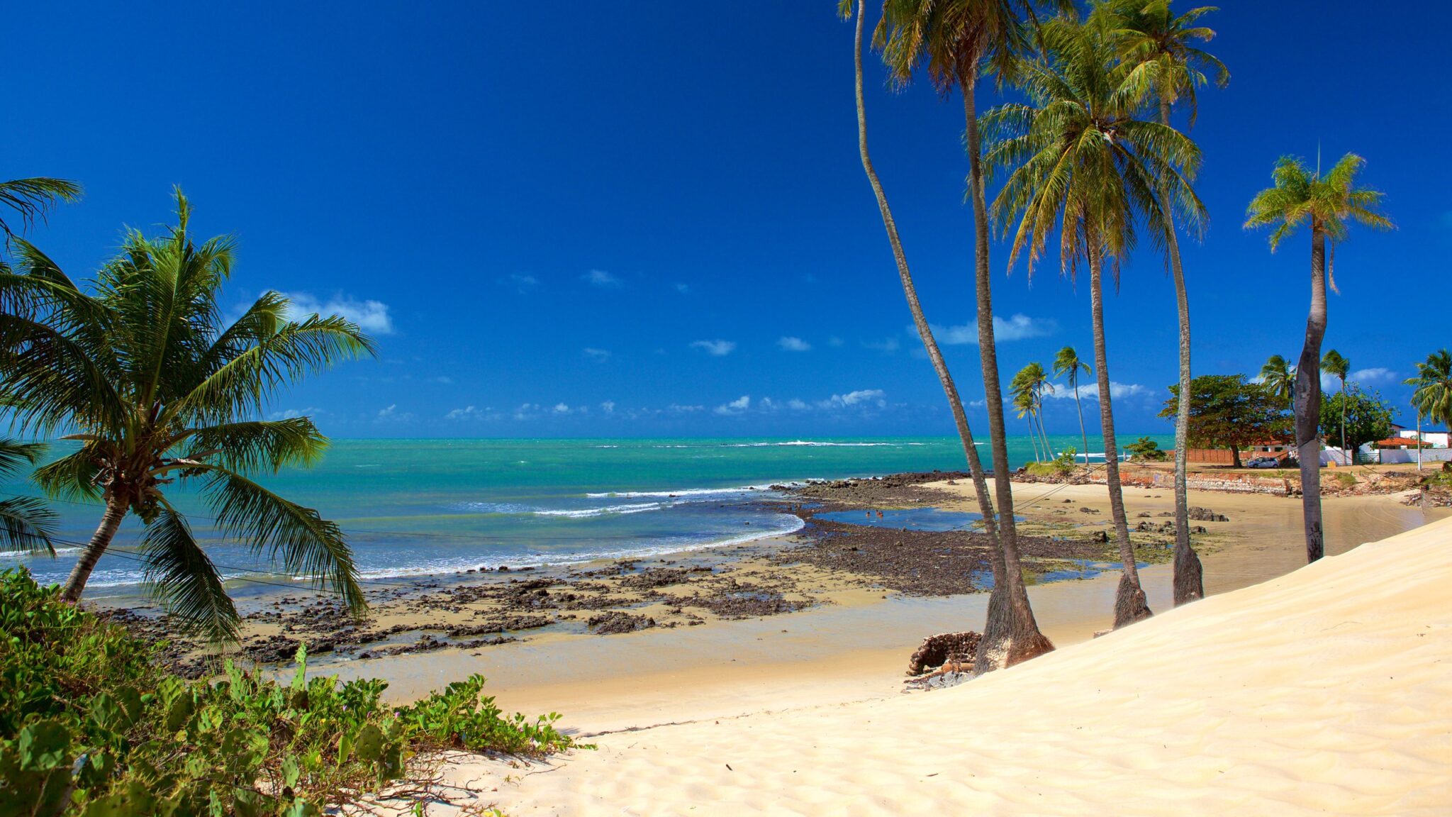 As 35 praias mais lindas do Nordeste em fotos - Guia Viajar Melhor