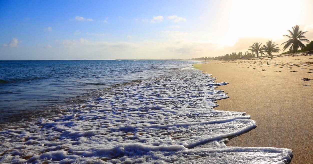 Guia de praias imperdíveis para conhecer no litoral de SP