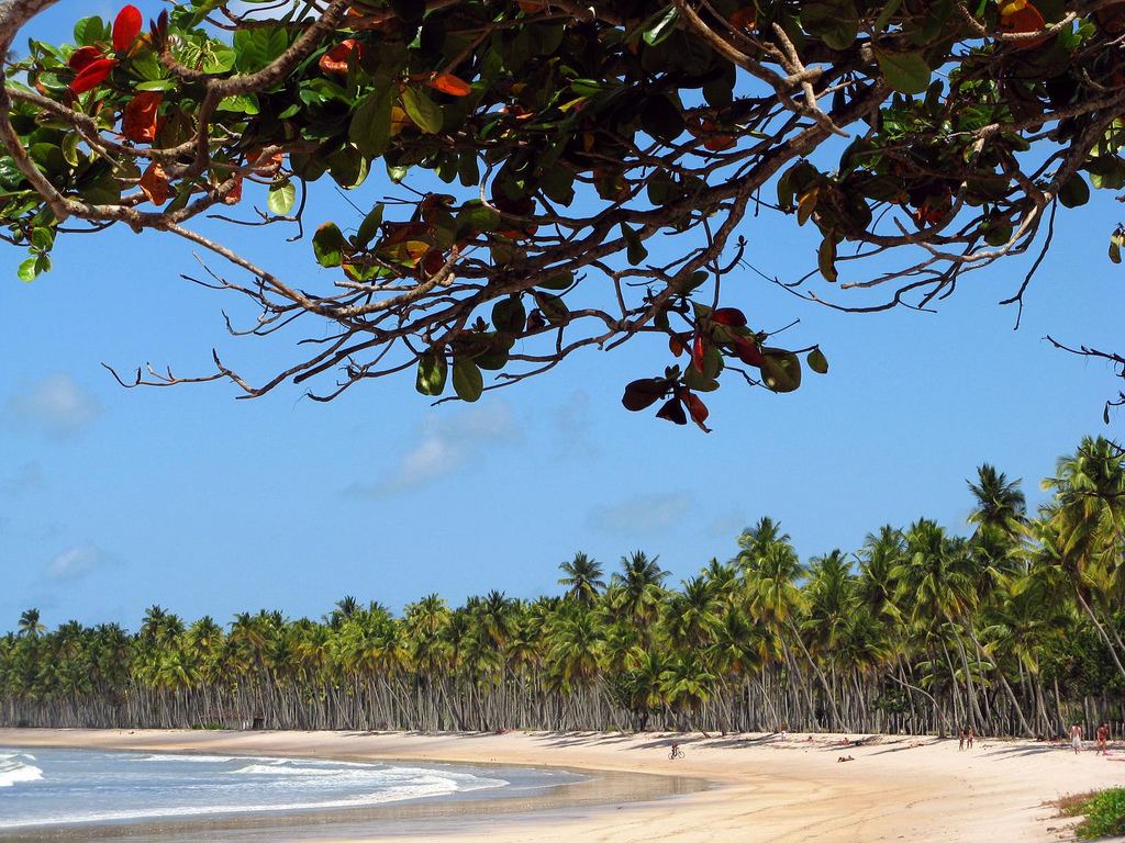 Veja 15 praias paradisíacas no litoral da Bahia - Guia Viajar Melhor