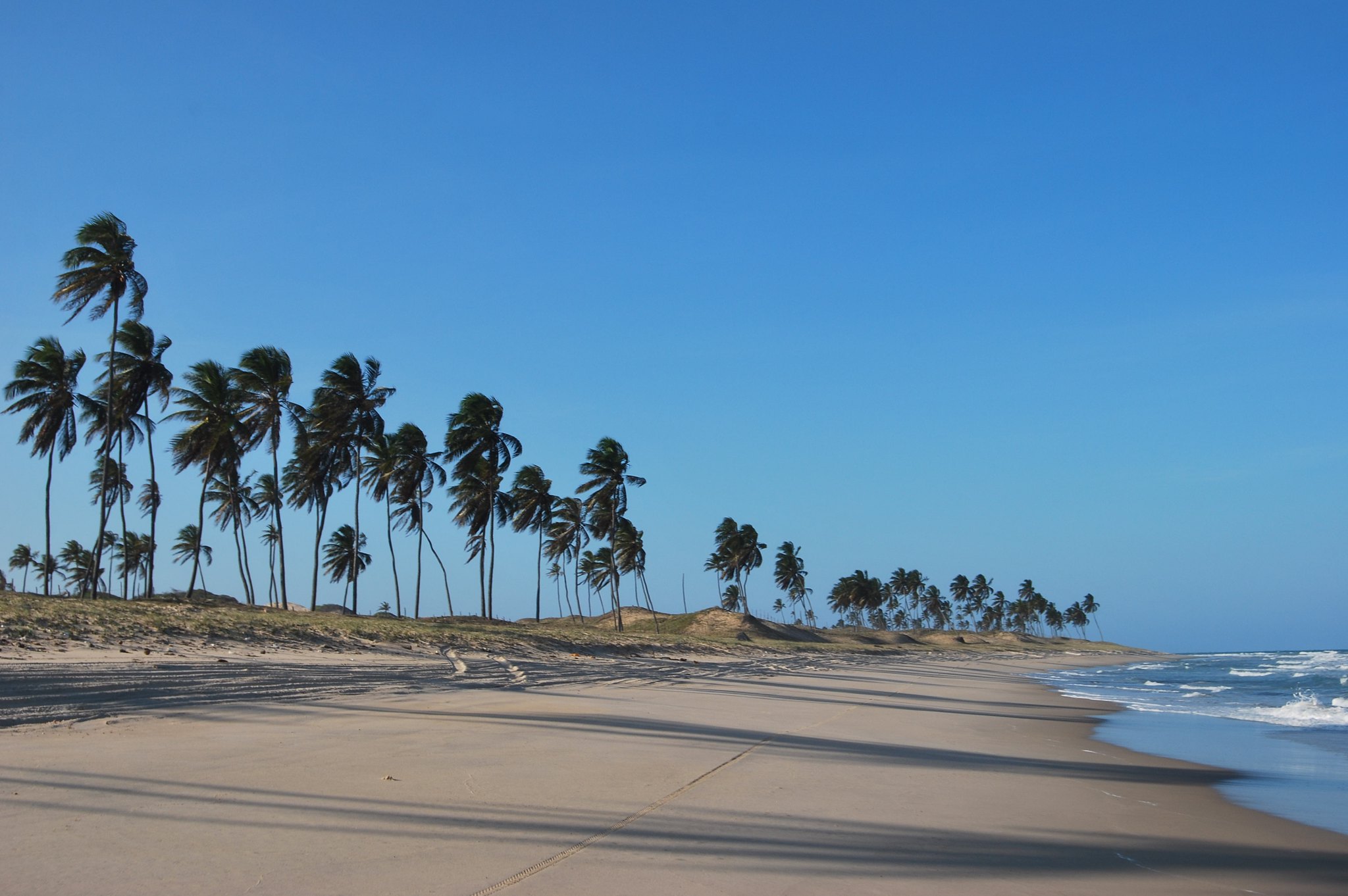 As 18 praias mais lindas do Rio Grande do Norte em fotos